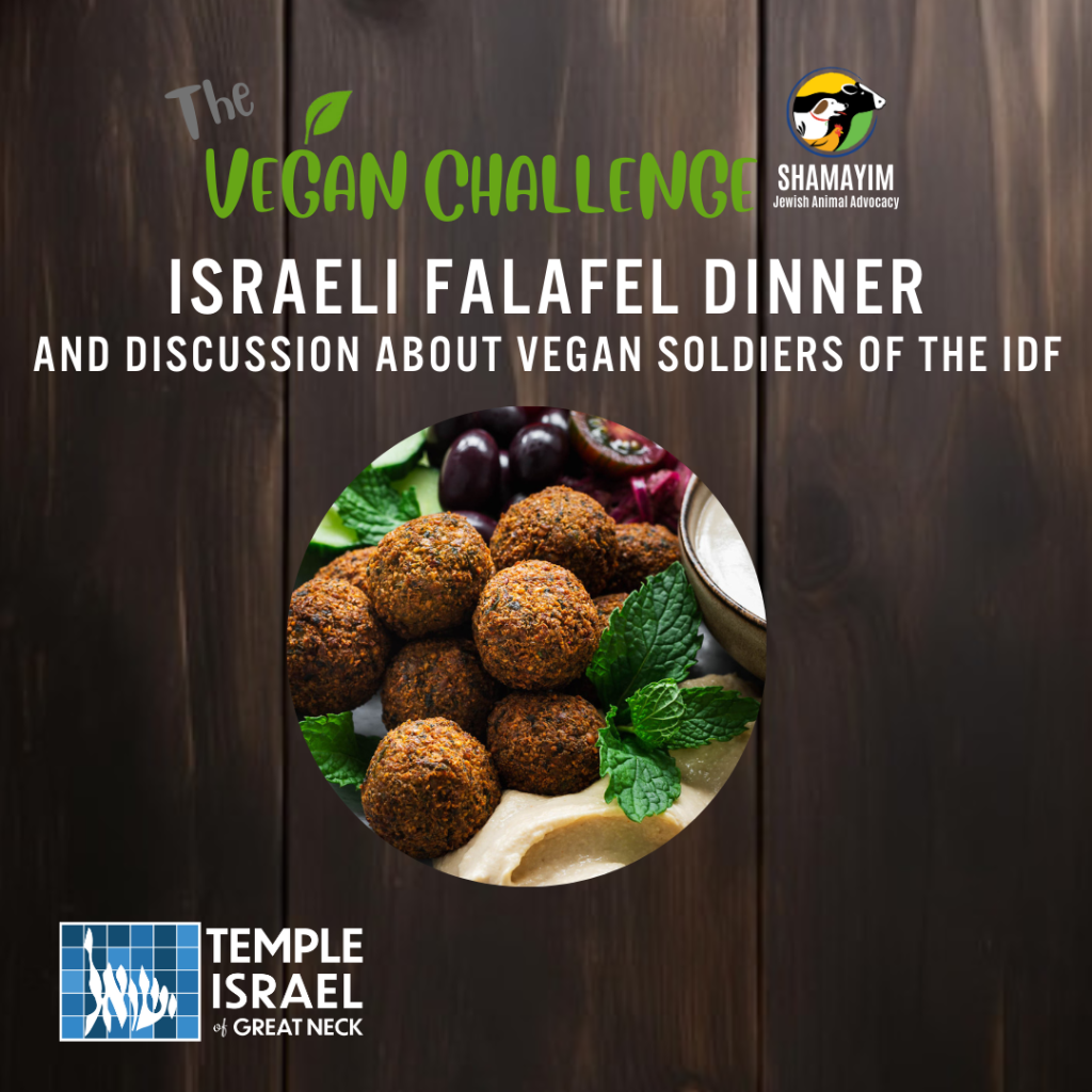 Israeli Falafel Dinner and Discussion About Vegan Soldiers of the IDF ...
