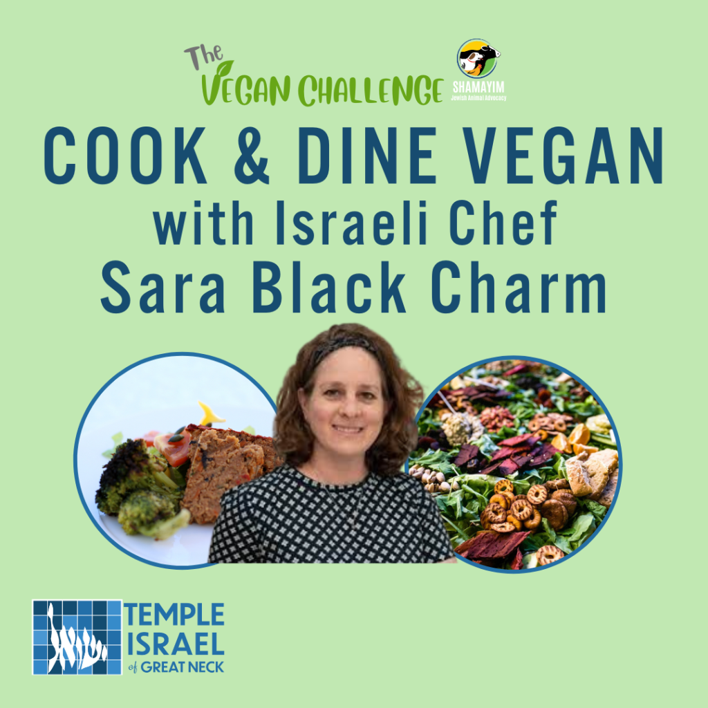 Cook & Dine with Israeli Chef Sara Black Charm | Temple Israel of Great Neck - Egalitarian ...