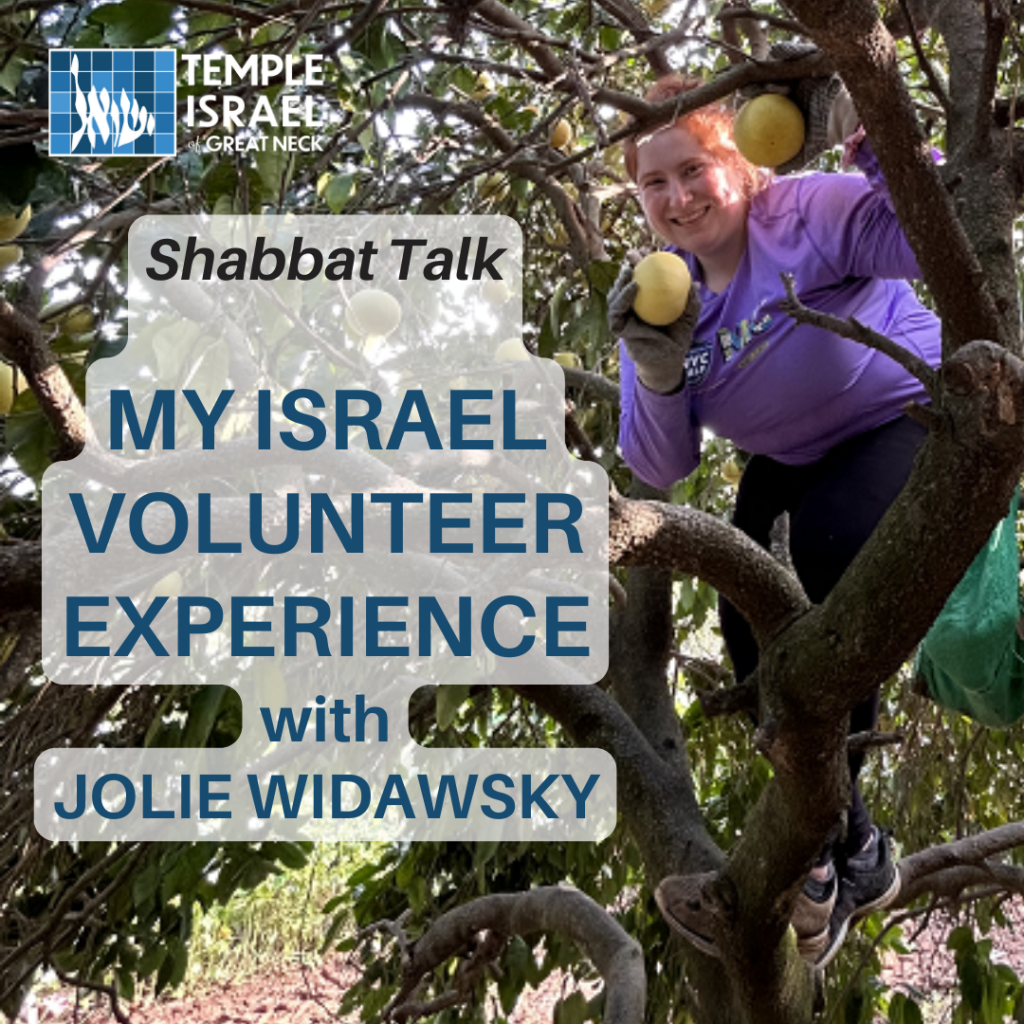 Shabbat Talk – My Israel Volunteer Experience with Jolie Widawsky ...